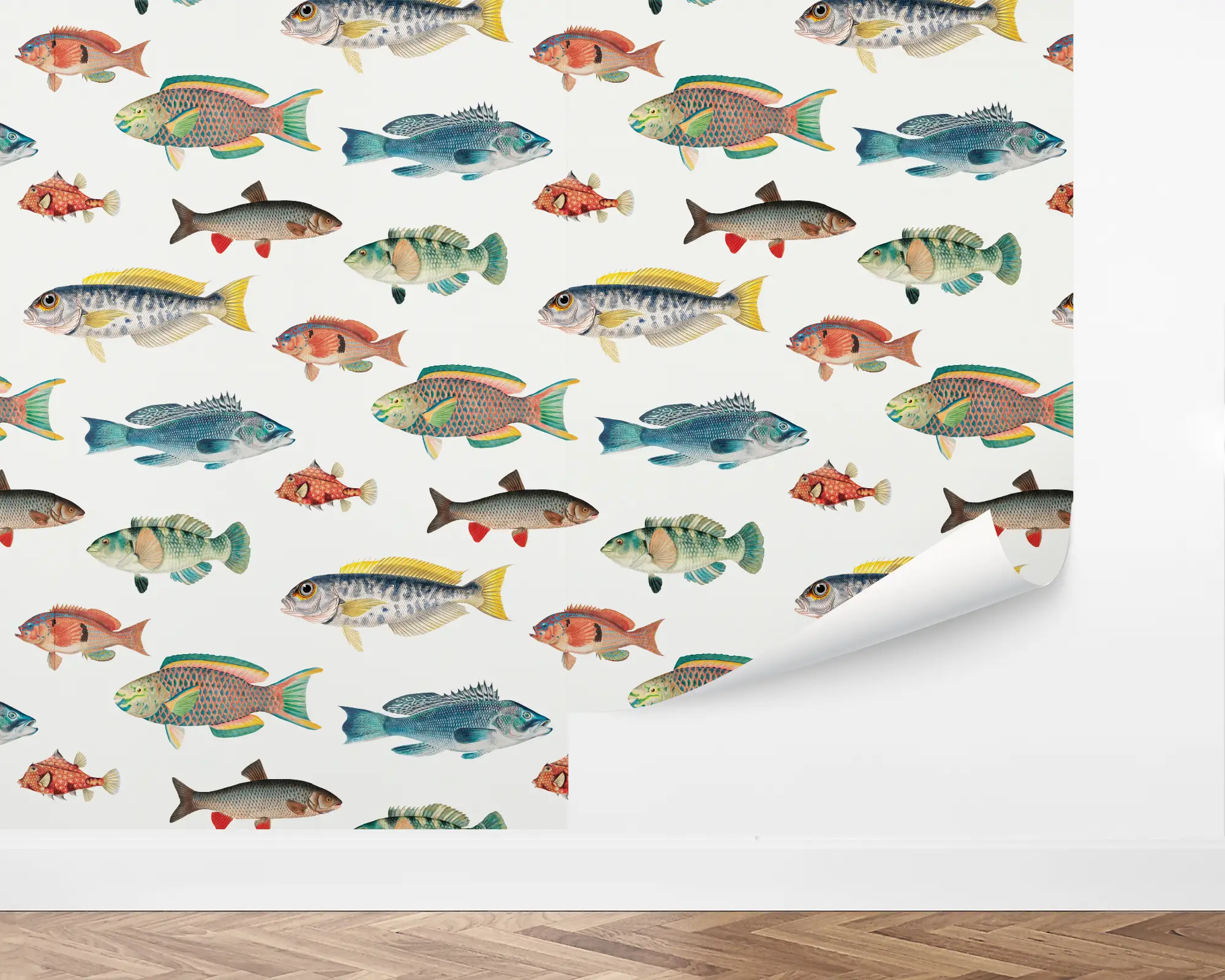 Fish Wallpaper Pack 4 Aquarium Background 3D Channa Blue Pulchra Snake